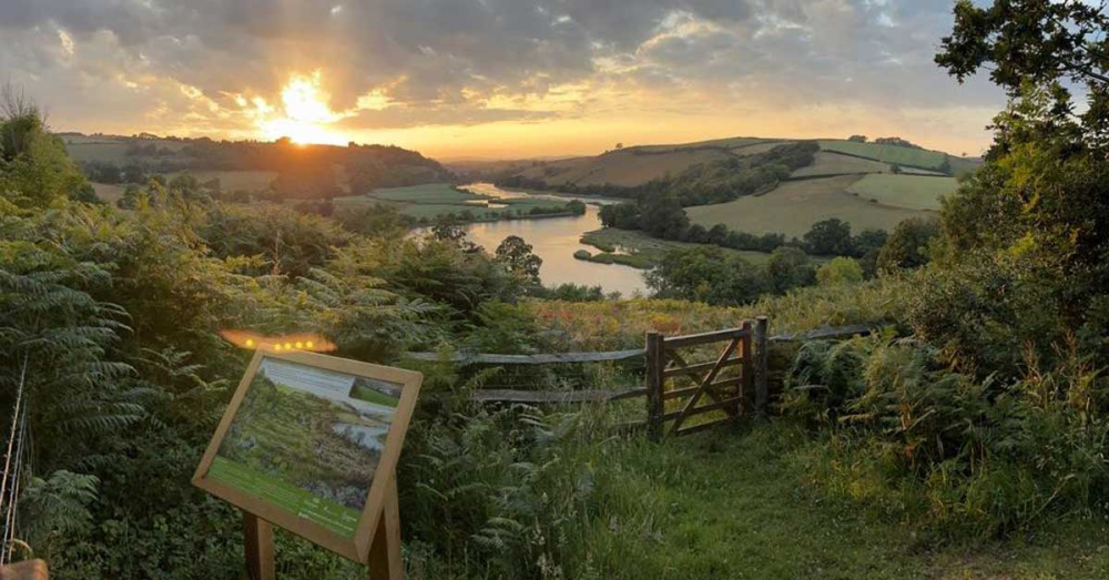 Rewilding nature on the Sharpham Estate near Totnes, Devon, UK