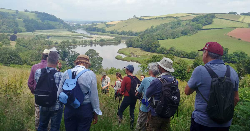 Rewilding nature on the Sharpham Estate near Totnes, Devon, UK