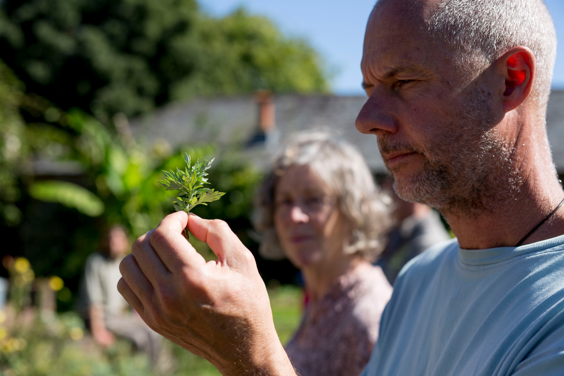 Mindfulness Retreats | Retreats Since 1982 | The Sharpham Trust