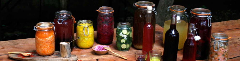 Food Fermenting Workshop | 1 day event | The Sharpham Trust