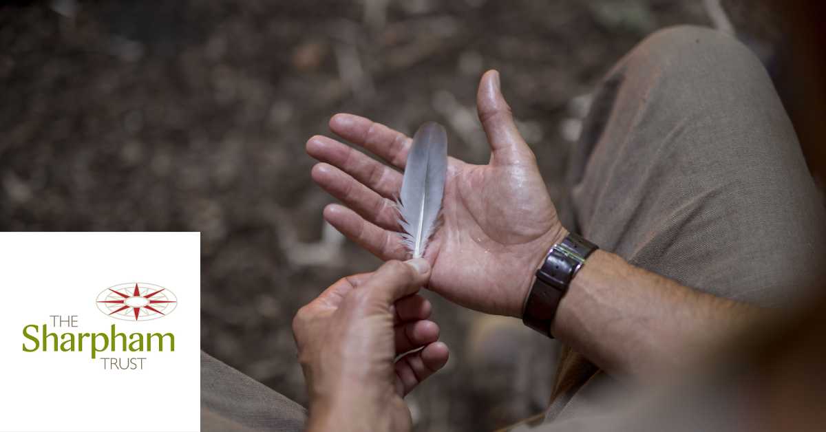 Transform your suffering on our compassion meditation retreat