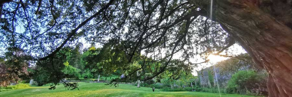 Mindfulness Retreats | Retreats Since 1982 | The Sharpham Trust