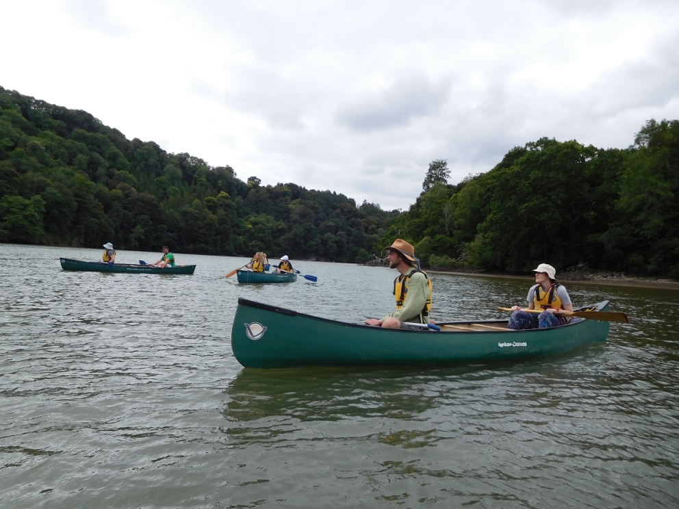 Mindful canoeing woodland retreats in Devon, UK. Learn more
