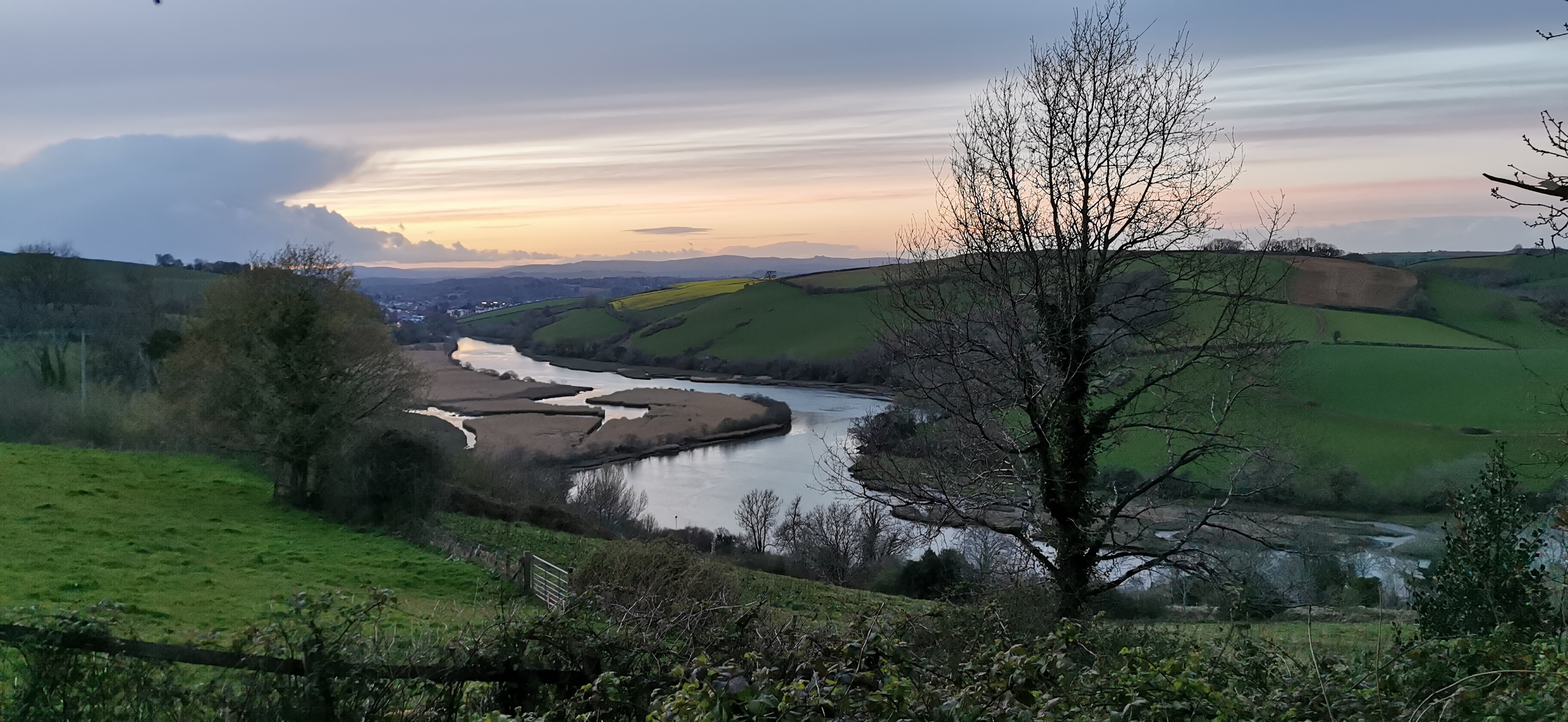 Volunteering opportunity on our rewilding fields at Sharpham