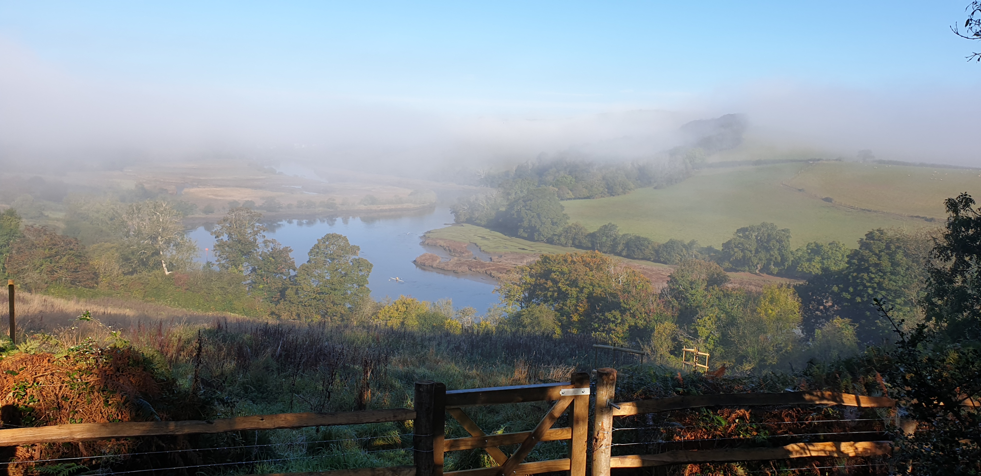 Rewilding nature on the Sharpham Estate near Totnes, Devon, UK