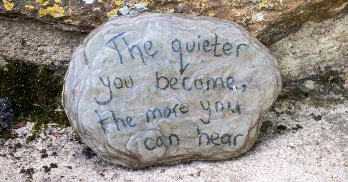 Fermenting recipe for beetroot kvass from The Sharpham Trust