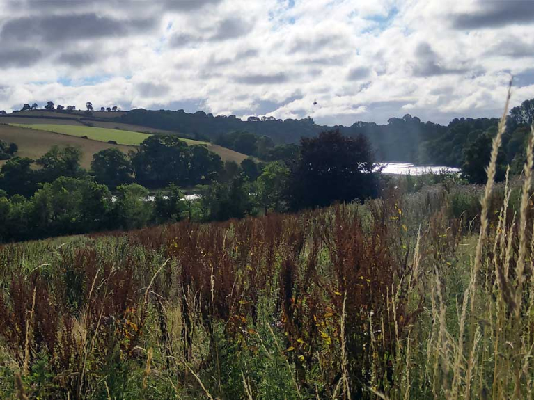 The Sharpham Estate is now fully organic.