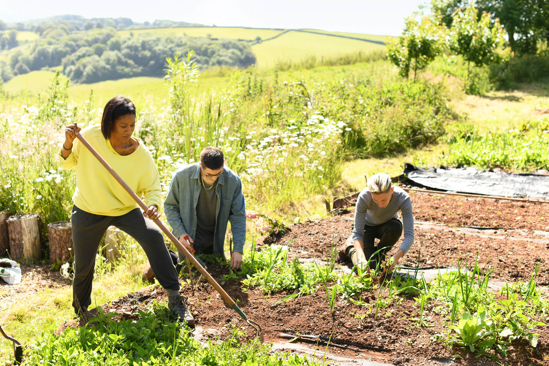 Regenerative gardening. LEARN MORE