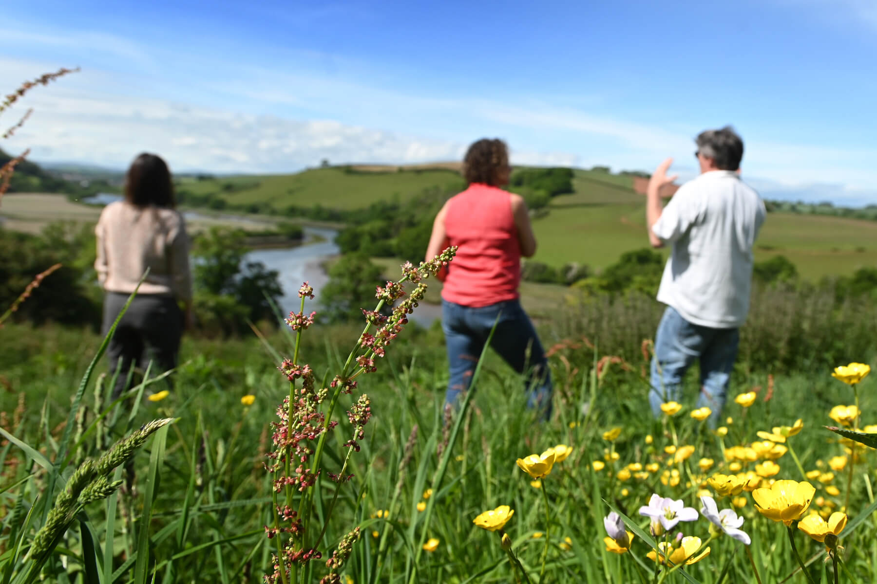 Volunteering opportunity on our rewilding fields at Sharpham
